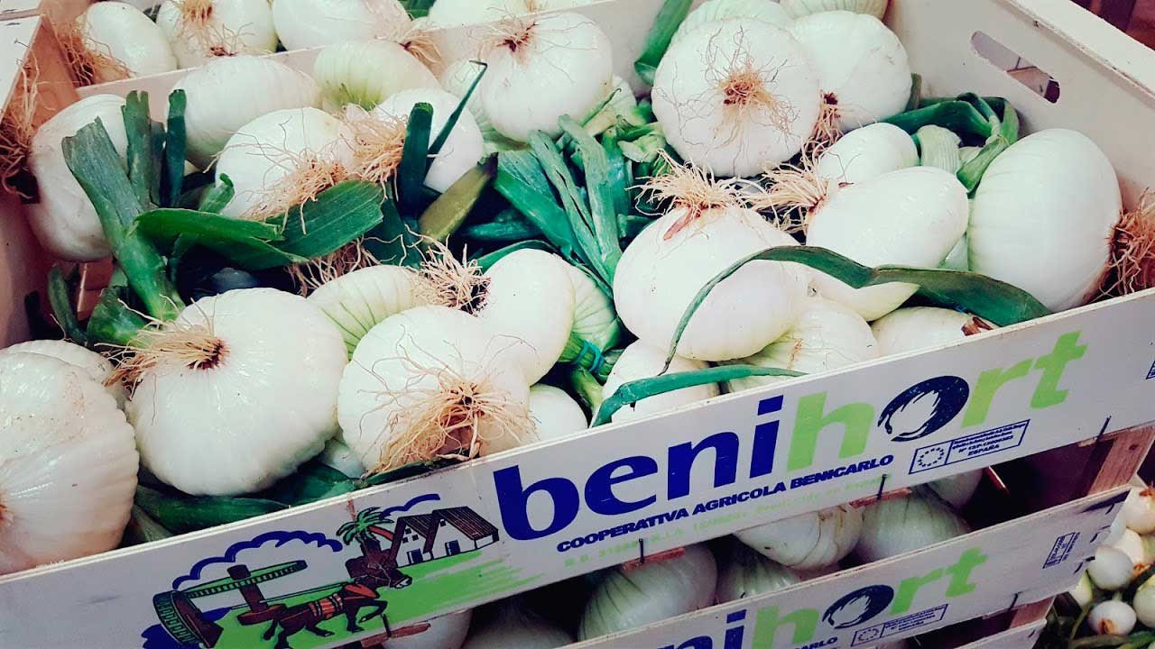 Cebolla tierna: cebolla de primavera